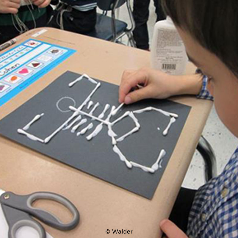 Learning About the Skeletal Frame in Parashas Vayishlach - Walder Education