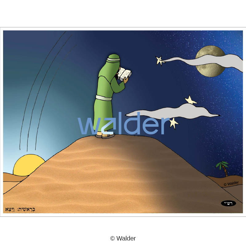 Vayeitzei Pictures and Summaries - Walder Education