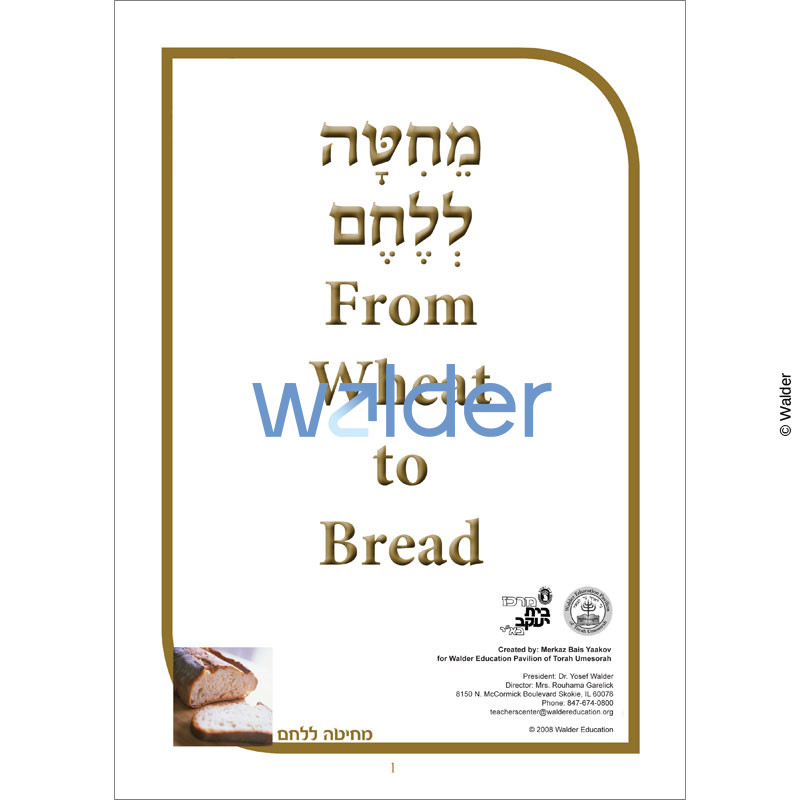 Making Bread from Wheat - Walder Education