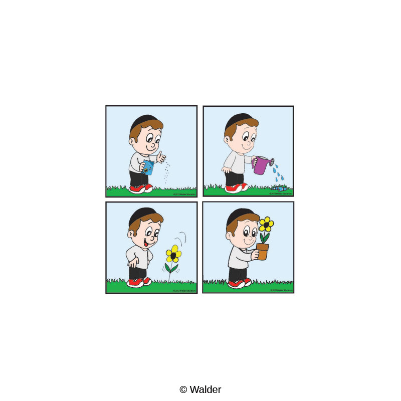 Training to Sequence: Boy Planting Flower - Walder Education