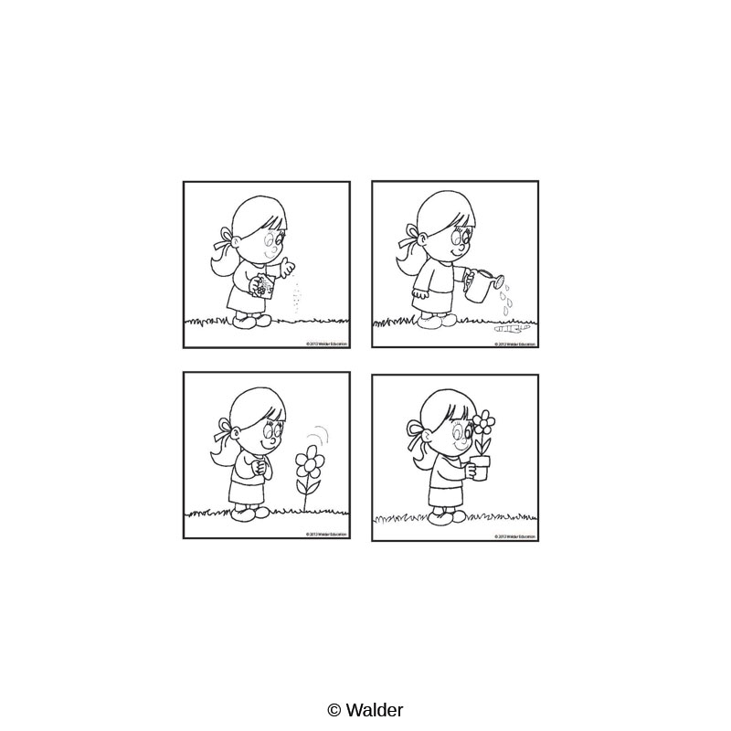Training to Sequence: Girl Planting Flower - Walder Education