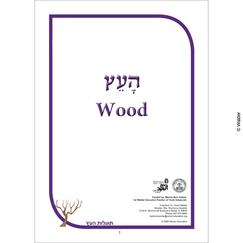 Uses for Wood - Walder Education