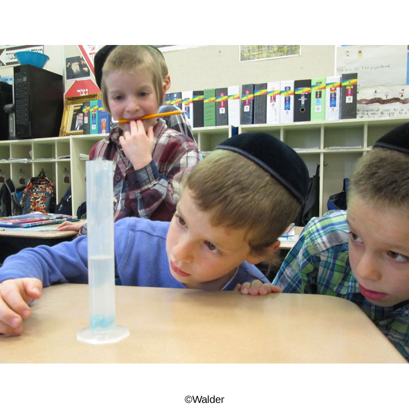 Water Displacement Experiment - Walder Education