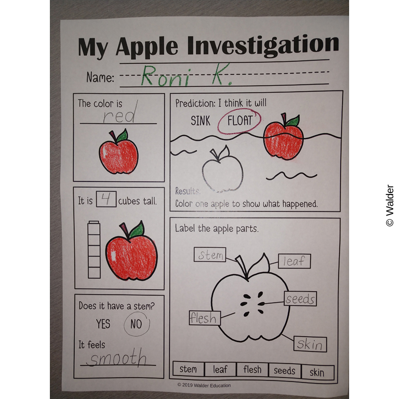 Apple Investigation - Walder Education