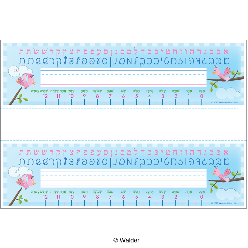 Bird Desk Strip - Walder Education