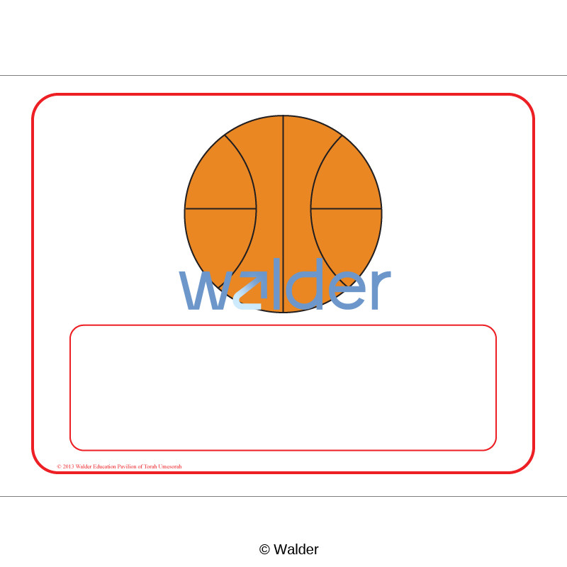 Fact Basketball - Walder Education