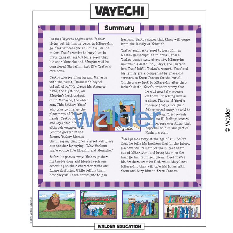 Weekly Parsha Guide: Vayechi - Walder Education