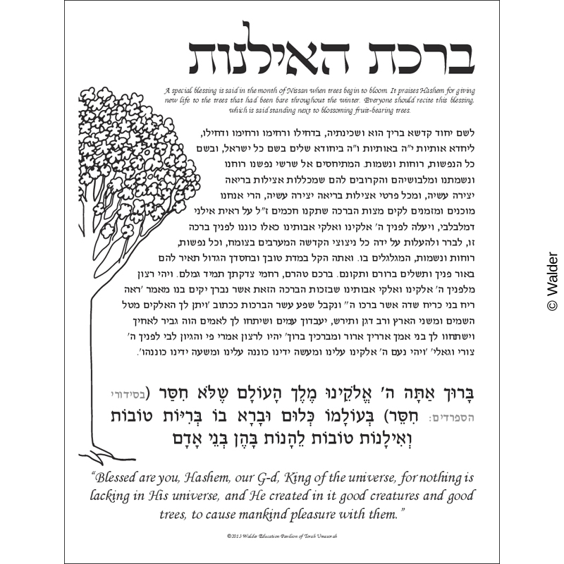 Birchas Hailanos Brachah Sheet - Walder Education