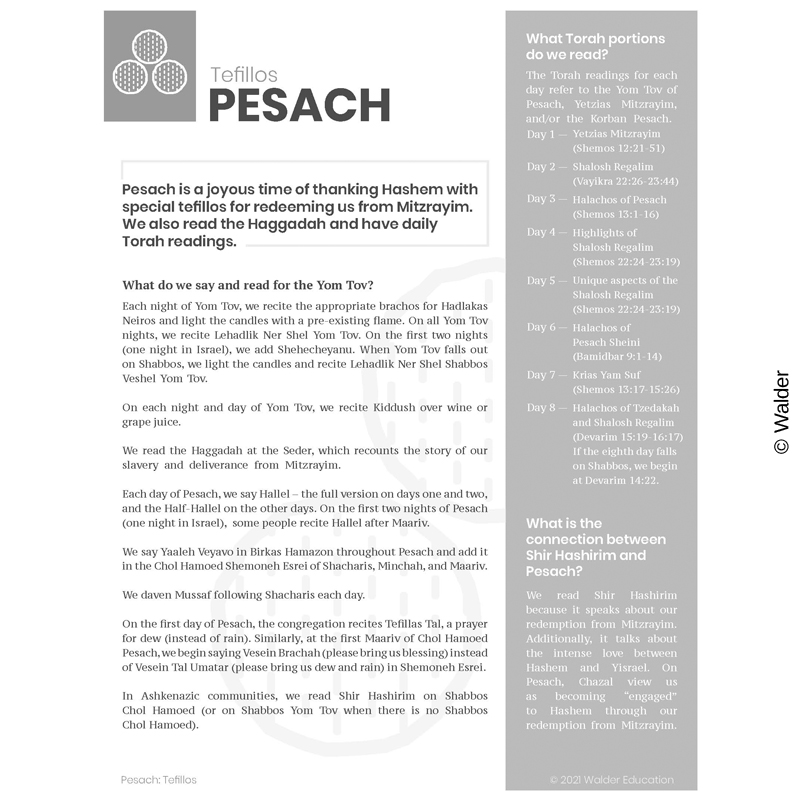 Pesach Study Guide: Tefillos - Walder Education