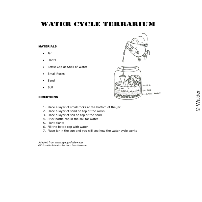 Water Cycle Terrarium Direction Sheet - Walder Education