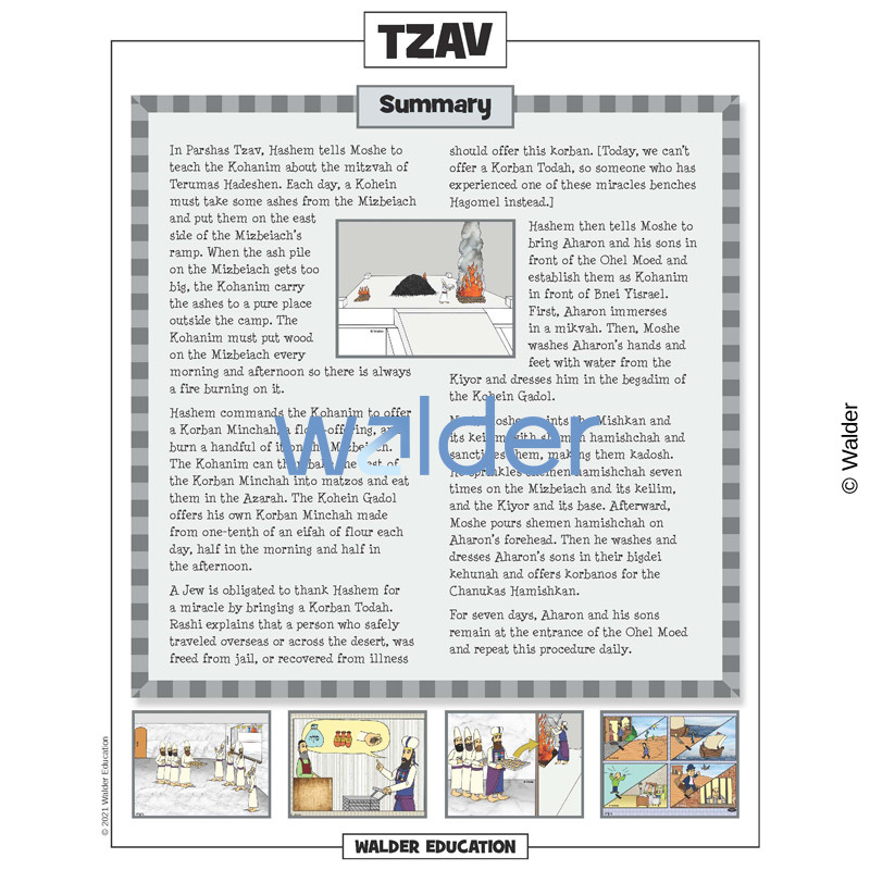 Weekly Parsha Guide: Tzav - Walder Education