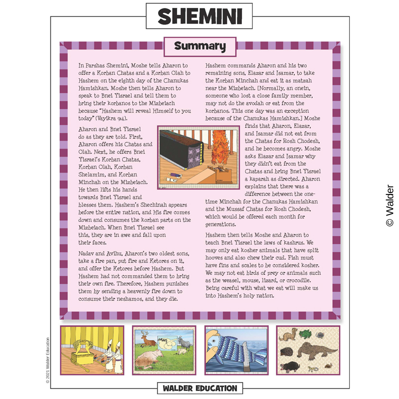 Weekly Parsha Guide: Shemini - Walder Education