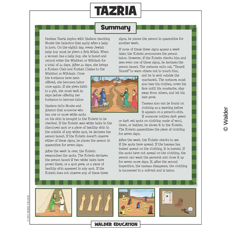 Weekly Parsha Guide: Tazria - Walder Education