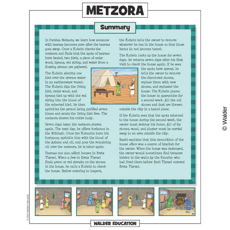 Weekly Parsha Guide: Metzora - Walder Education