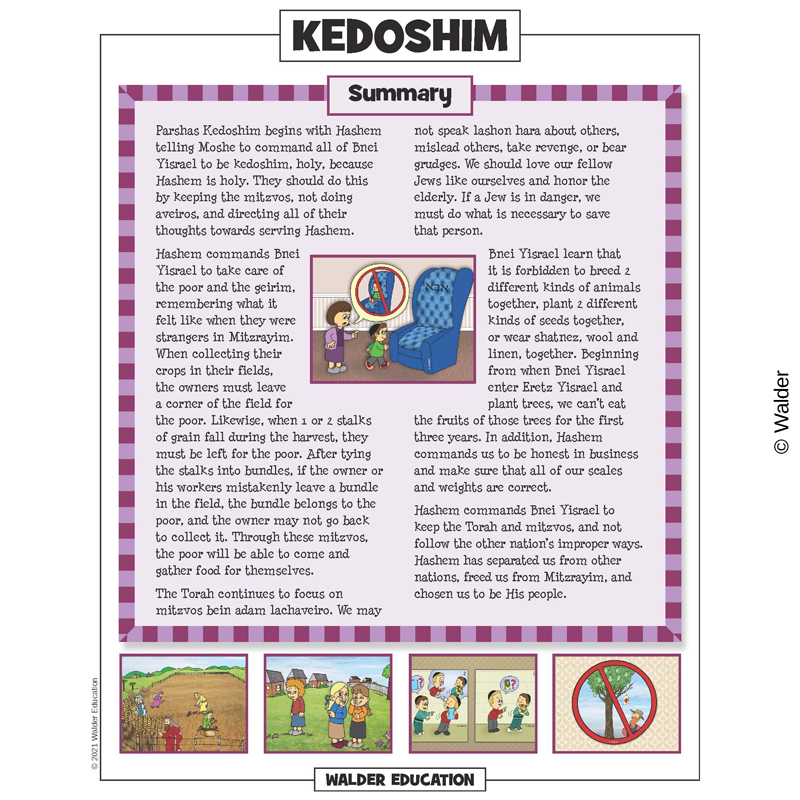 Weekly Parsha Guide: Kedoshim - Walder Education