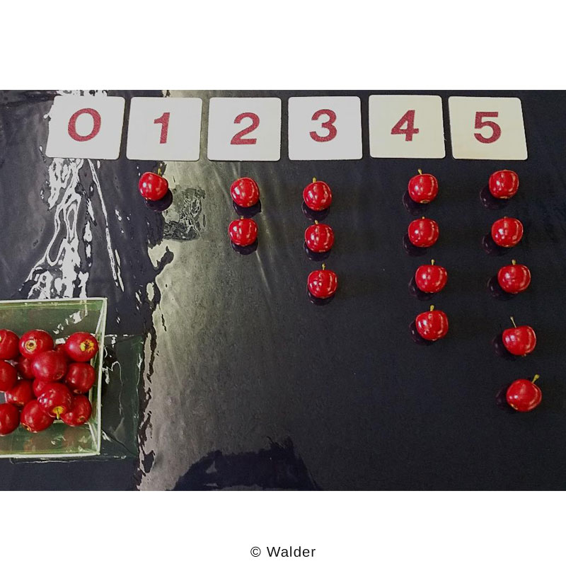 I Can Count Apples - Walder Education