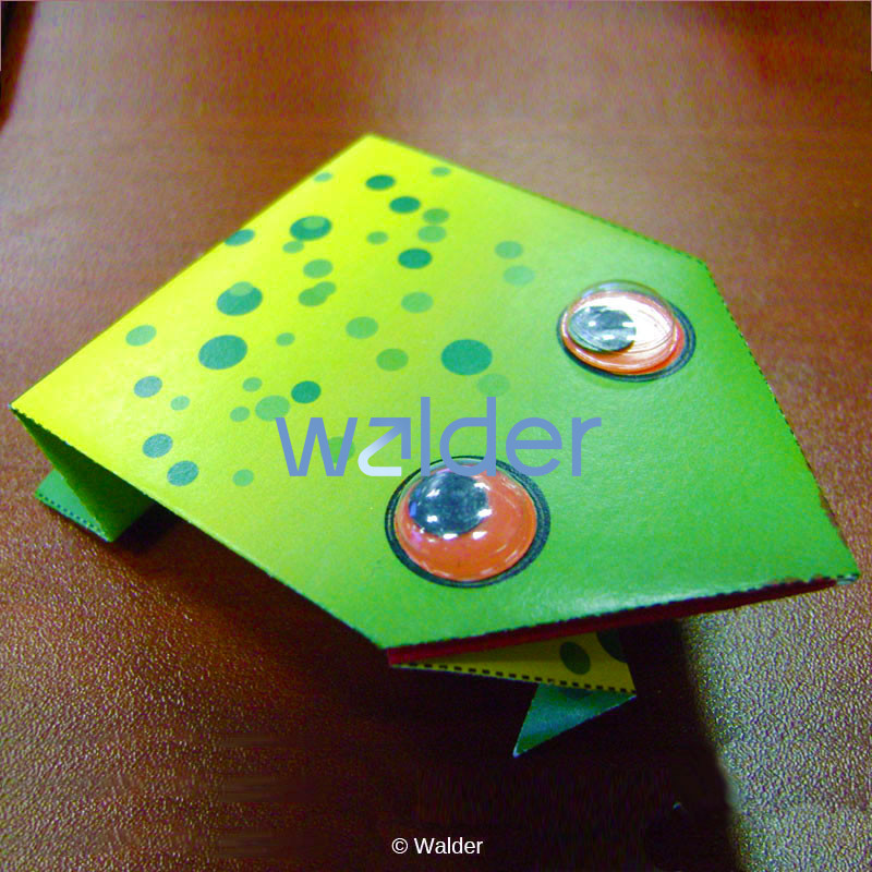 Origami Frog - Walder Education