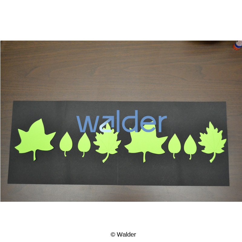 Tu B'Shevat Math - Walder Education
