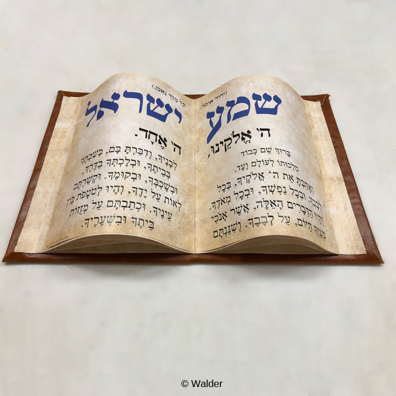 Shema Sefer Display - Walder Education