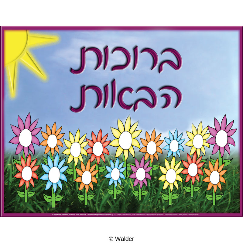 Multicolored Flowers - Girls Script - Walder Education