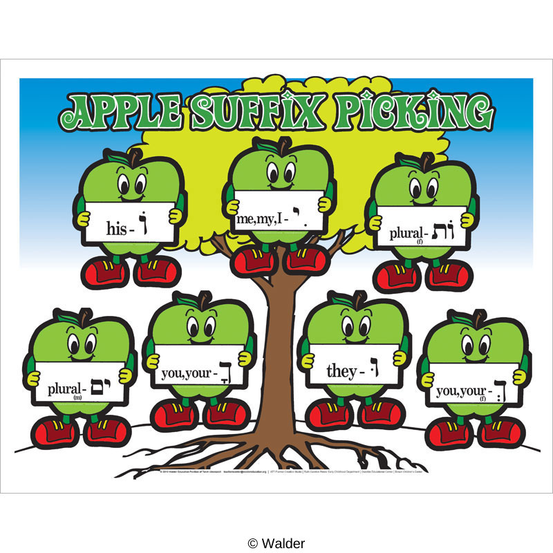 Apple Suffix Picking - Walder Education