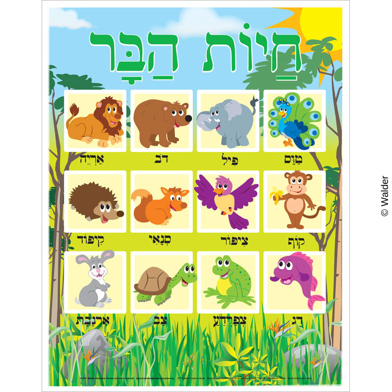 Hebrew Poster - Wild Animals - Walder Education