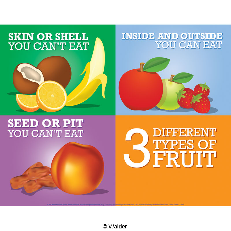 The Three Different Types of Fruit - Walder Education