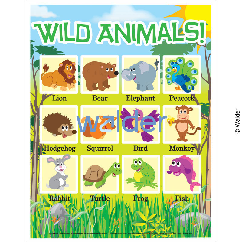 Wild Animals - Walder Education