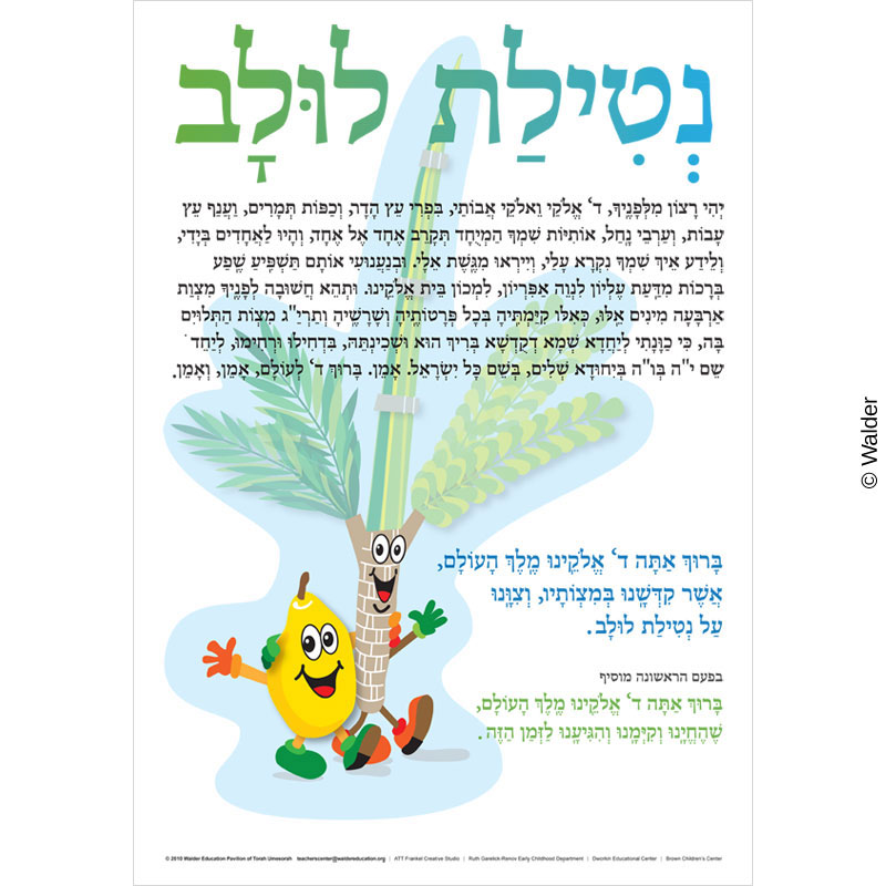 Seder Netilas Lulav - Walder Education