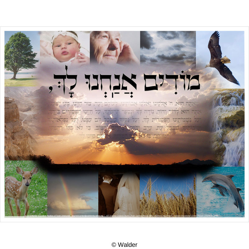 Modim Anachnu; We are grateful for... - Walder Education