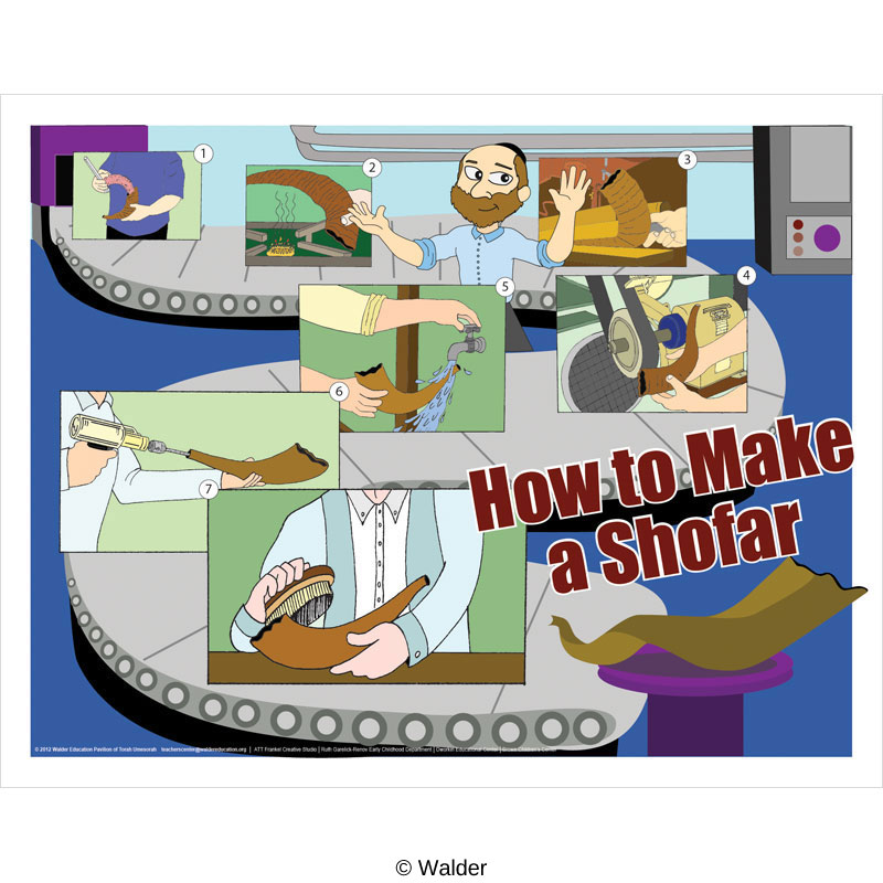 How to Make a Shofar - Walder Education