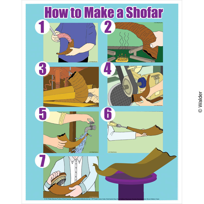 How to Make a Shofar - Walder Education