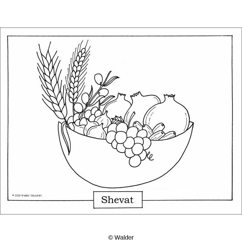 Jewish Months: Shevat - Walder Education
