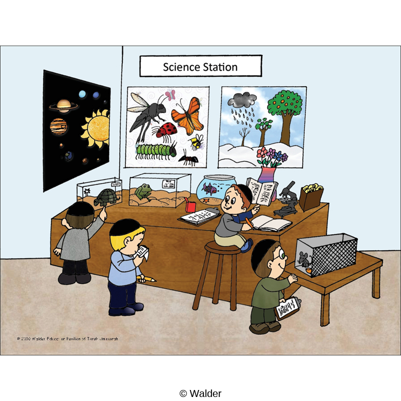 Classroom Scene: Science Station - Walder Education